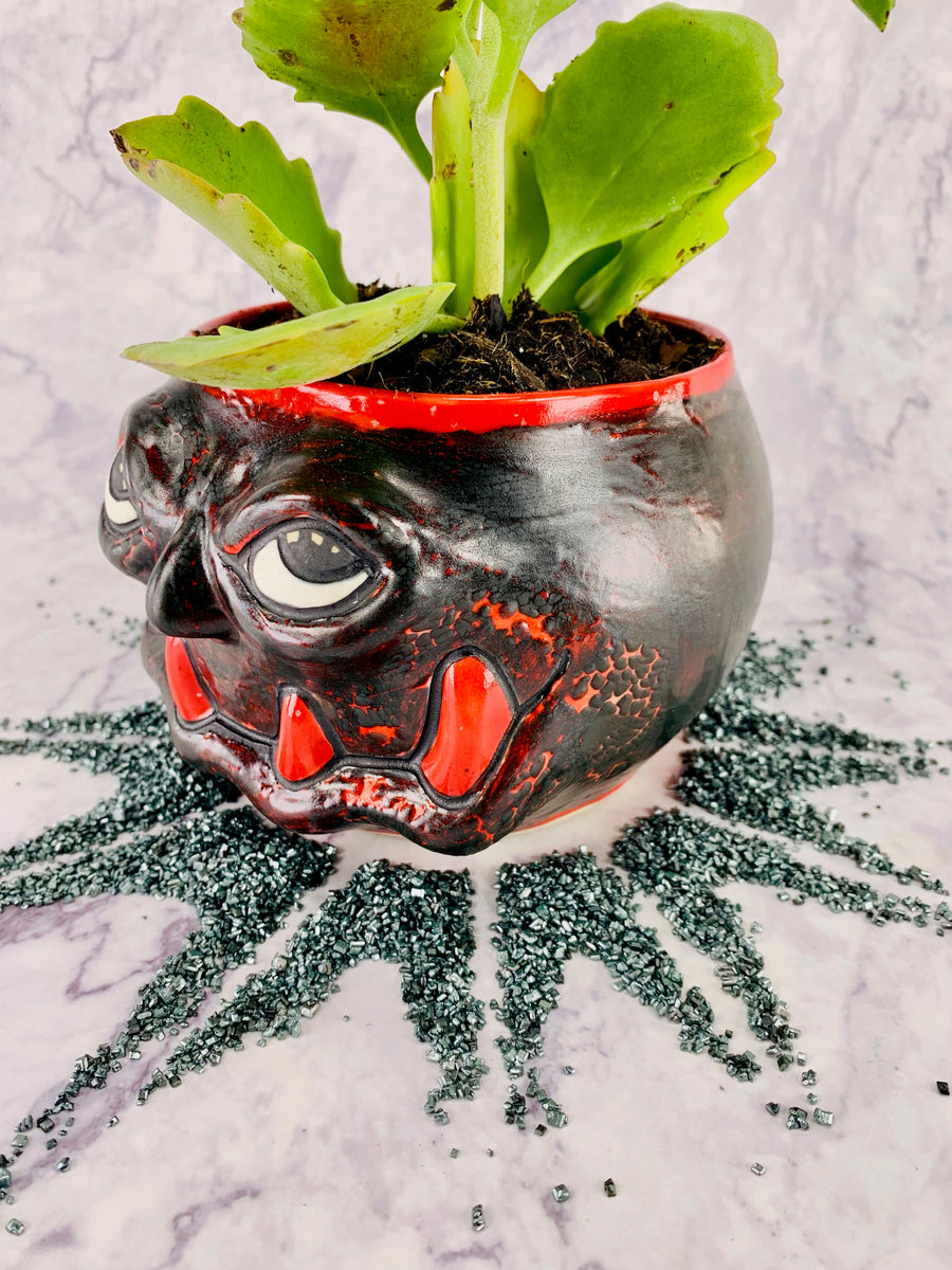 Pyraxia Foliagious – Calou Calay